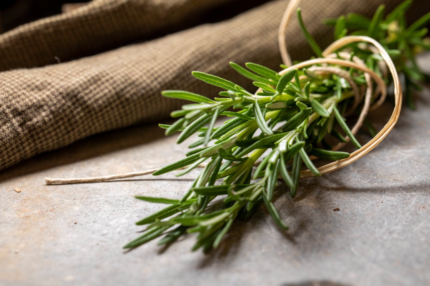 Rozmarinas: nauda, šalutinis poveikis, maistingumo faktai, naudojimas ...